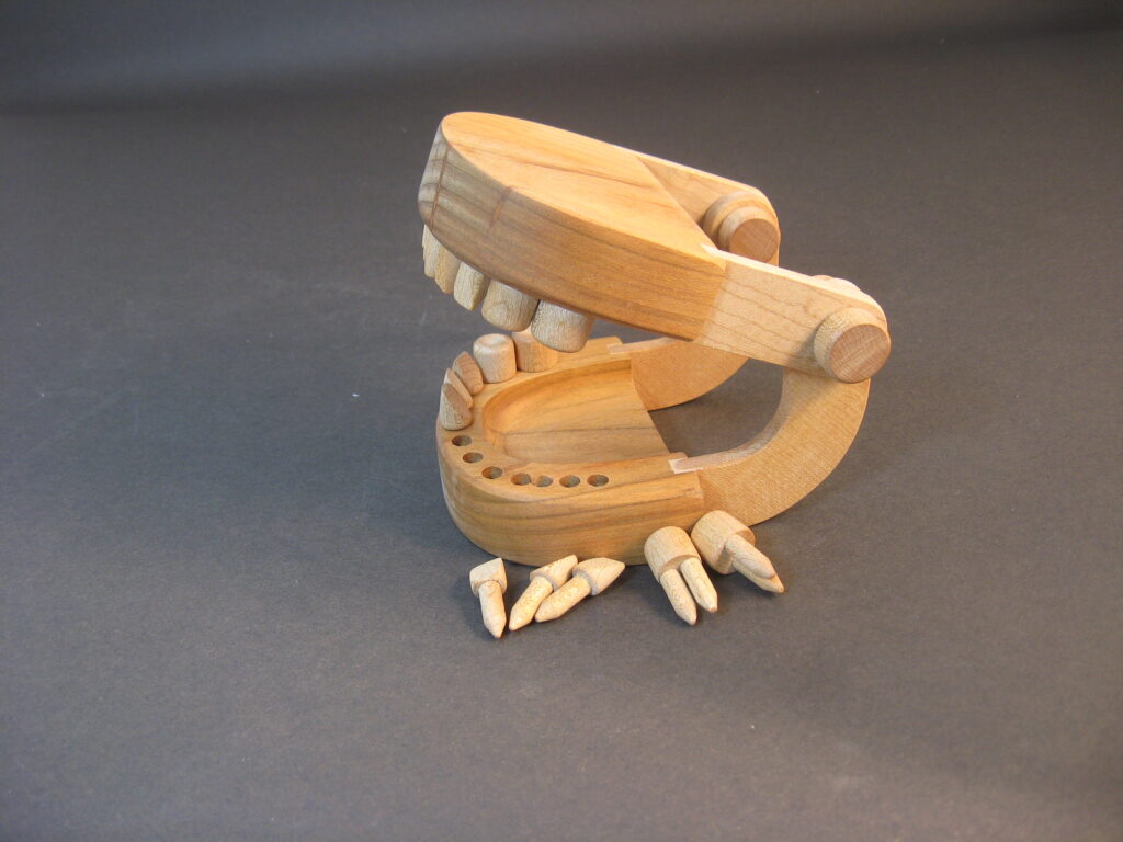 Tooth model children – Horiuchi Wood Craft | FSC certified wood ...